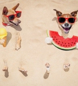 Viete, kde si užíval milostné hry boh Poseidon? | Blog Invia.sk